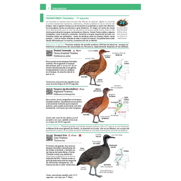 Guía de campo de las Aves de Colombia - McMullan Birding